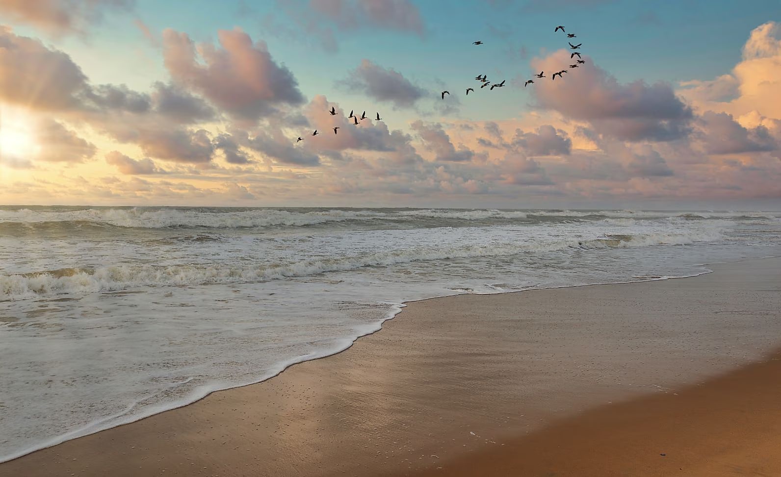 Hotels Near Puri Beach Book from Top Places to Stay Near Puri Beach, Puri