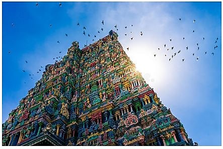 Hotels Near Meenakshi Amman Temple Book from Top Places to Stay Near ...