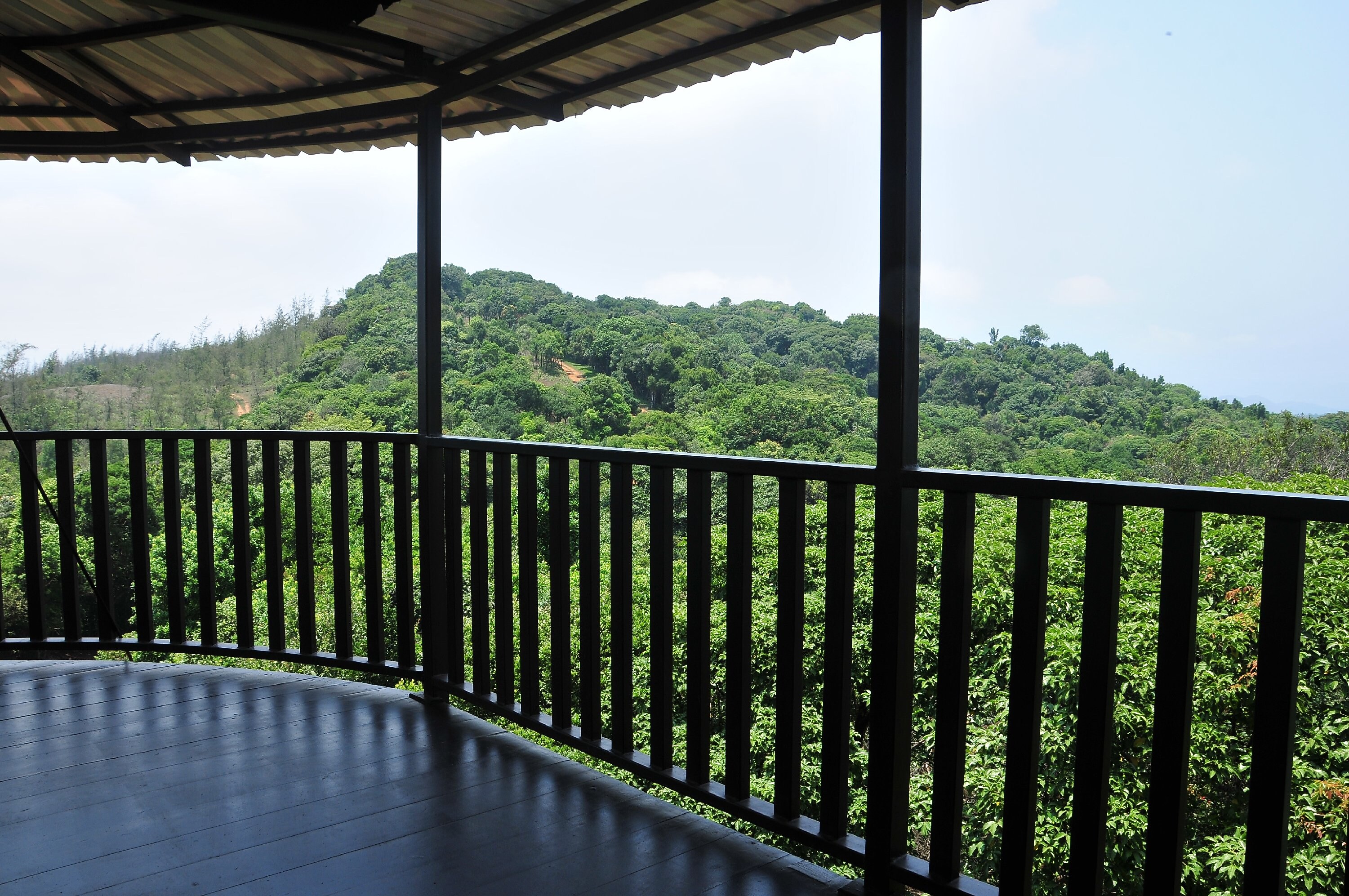 Coorg Treehouse Coorg Tree house Price, Address & Reviews