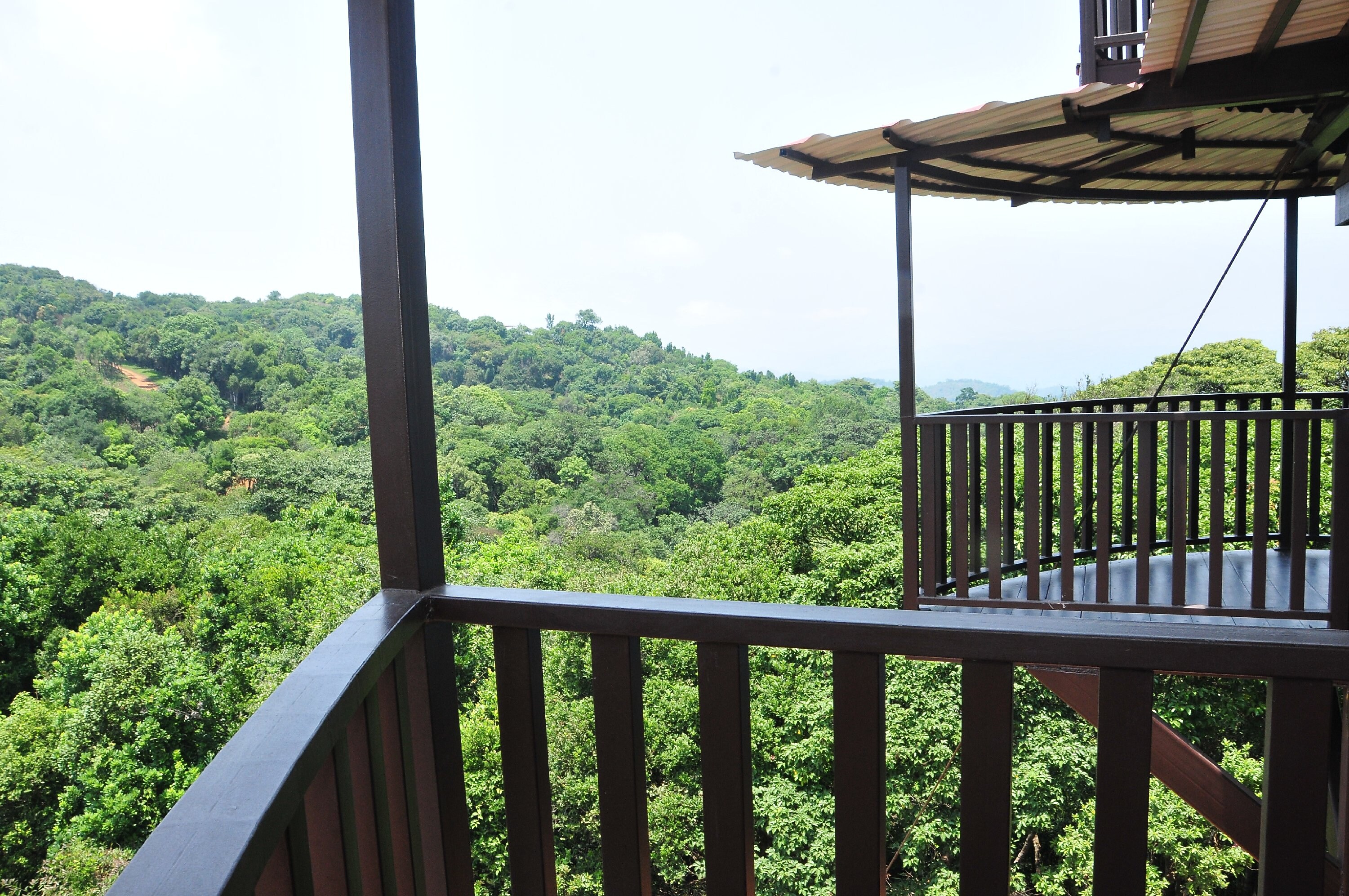 Coorg Treehouse Coorg Tree house Price, Address & Reviews
